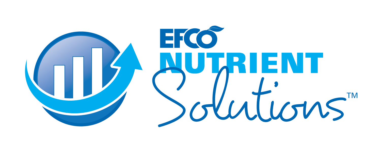 Innovation That Works for You – EFCO